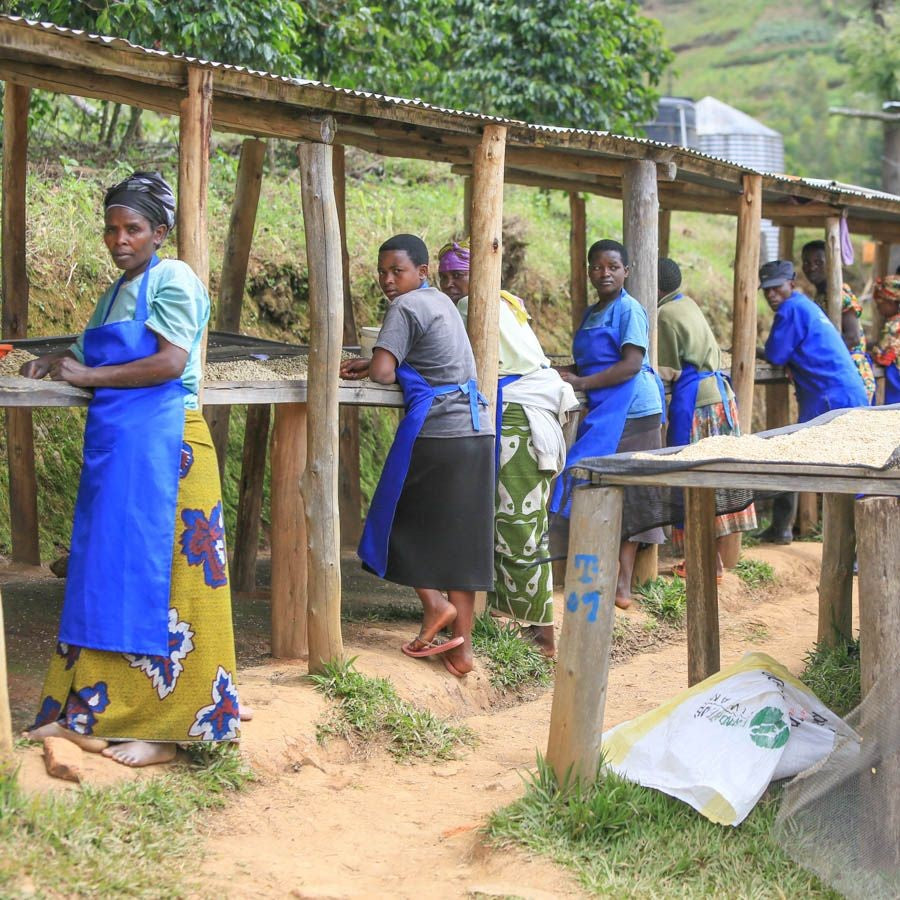 Rwanda: Karongi Gitesi 2024 – Keia & Martyn's Coffee