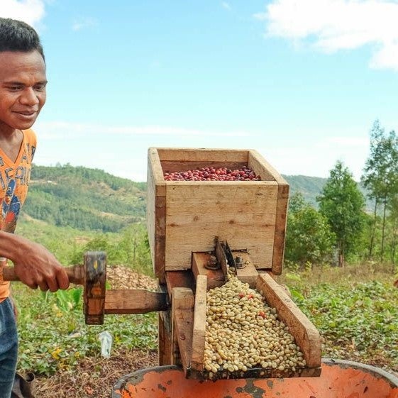 Timor Leste: Hadomi – Keia & Martyn's Coffee