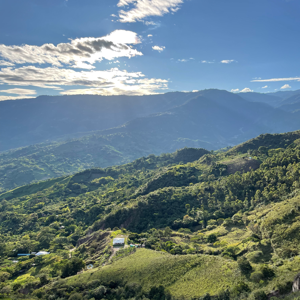 Colombia: Tarqui Pequeños – Keia & Martyn's Coffee